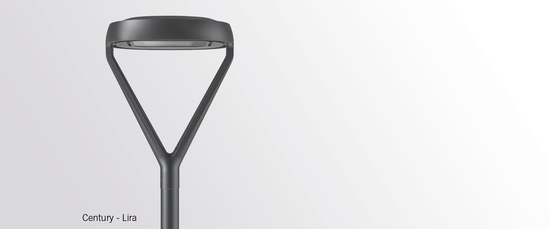 Luminaria Ambiental y Luminaria Vial Led Century - CARANDINI